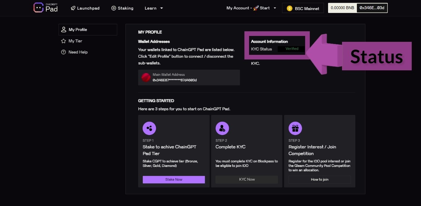 ChainGPT Pad — KYC Onboarding Guide